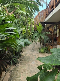 Walkway to rooms & beach