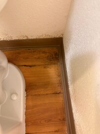 Mold in the bathroom