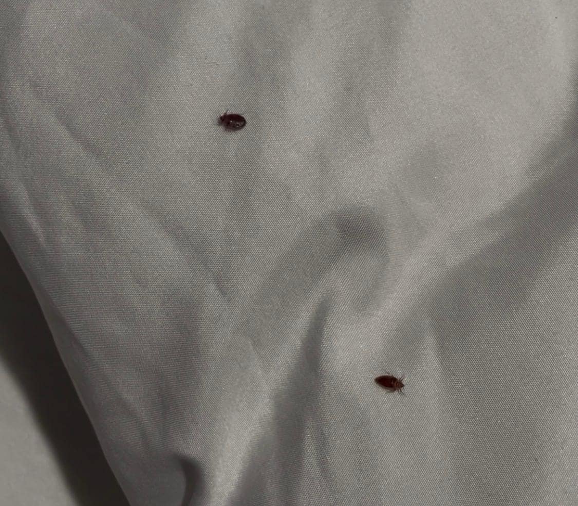 Two of the 6+ we actually saw