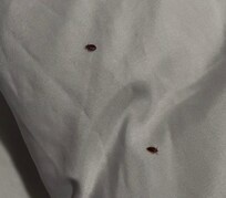 Two of the 6+ we actually saw