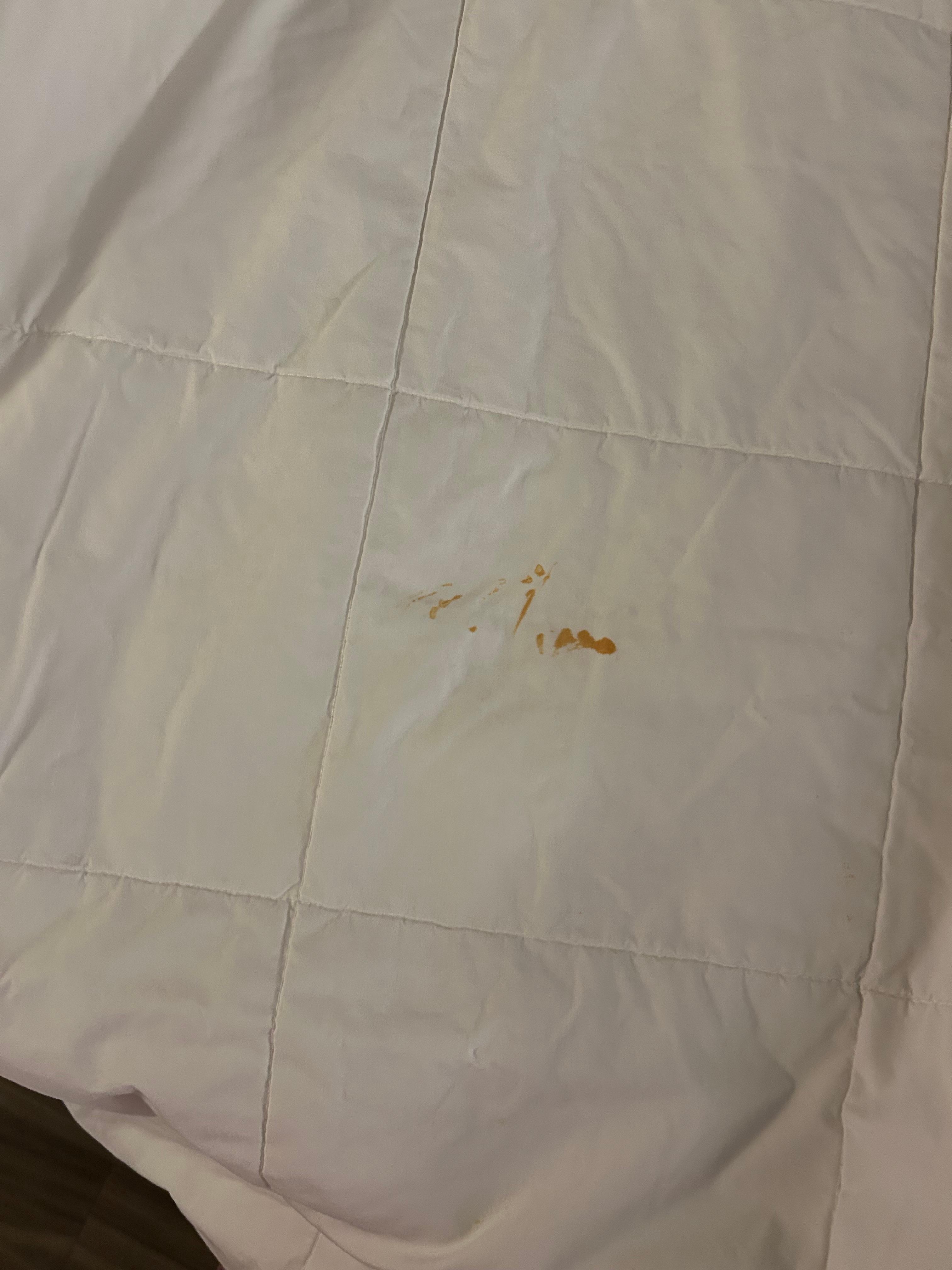 Fresh from laundry room