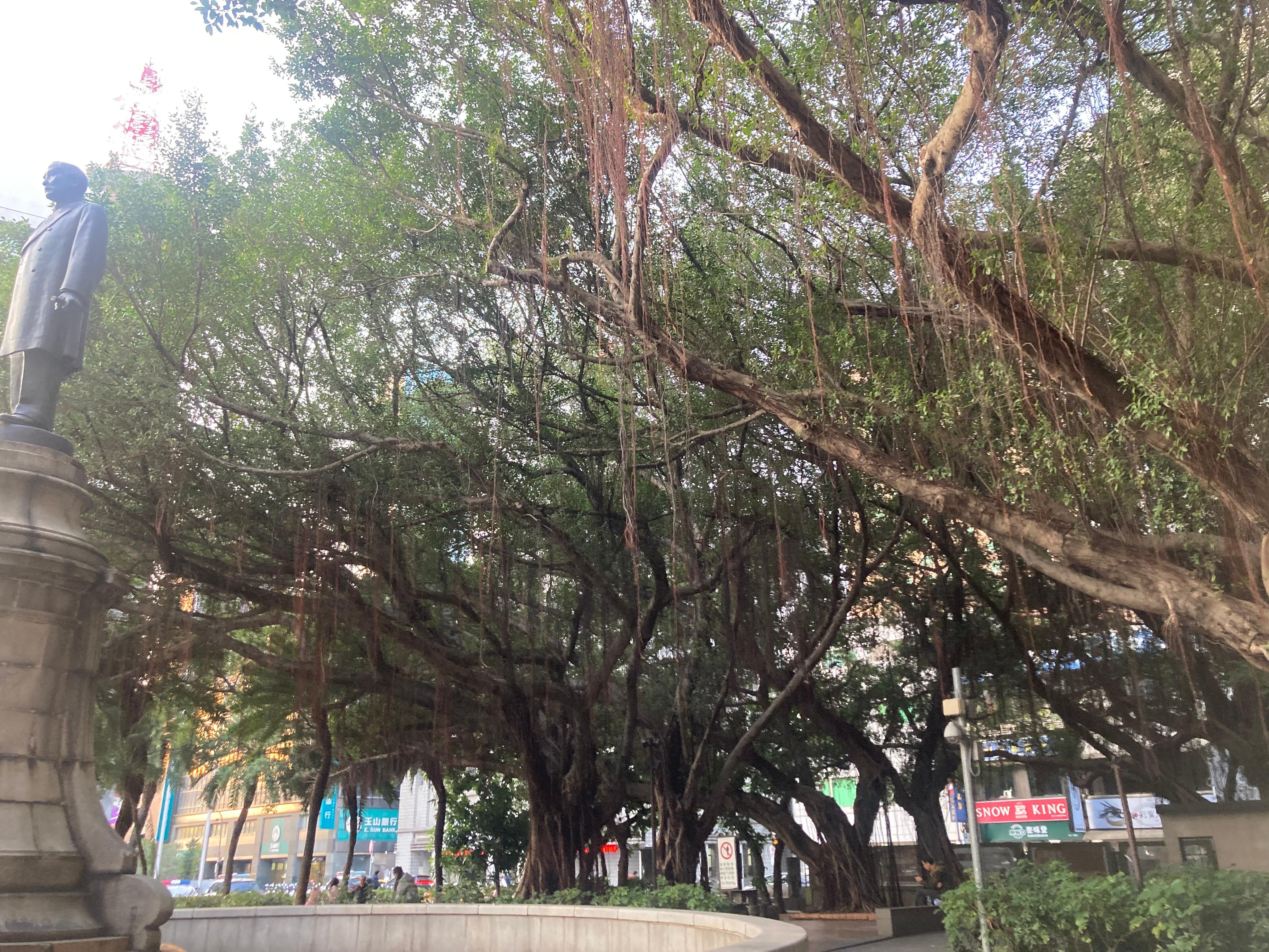 호텔 바로 옆 공원