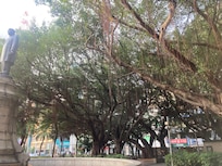 호텔 바로 옆 공원