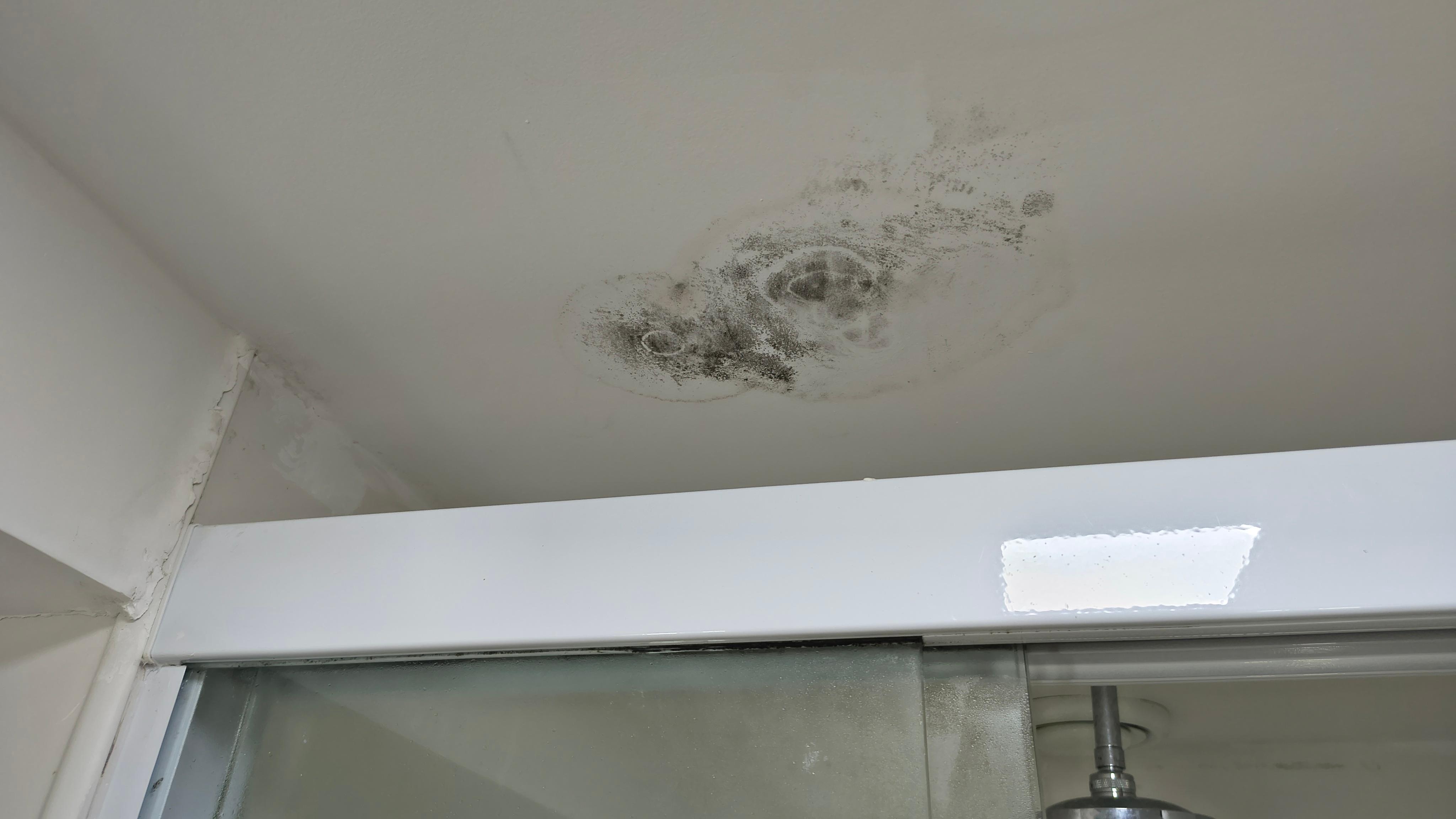 Teto demonstra um vazamento. 