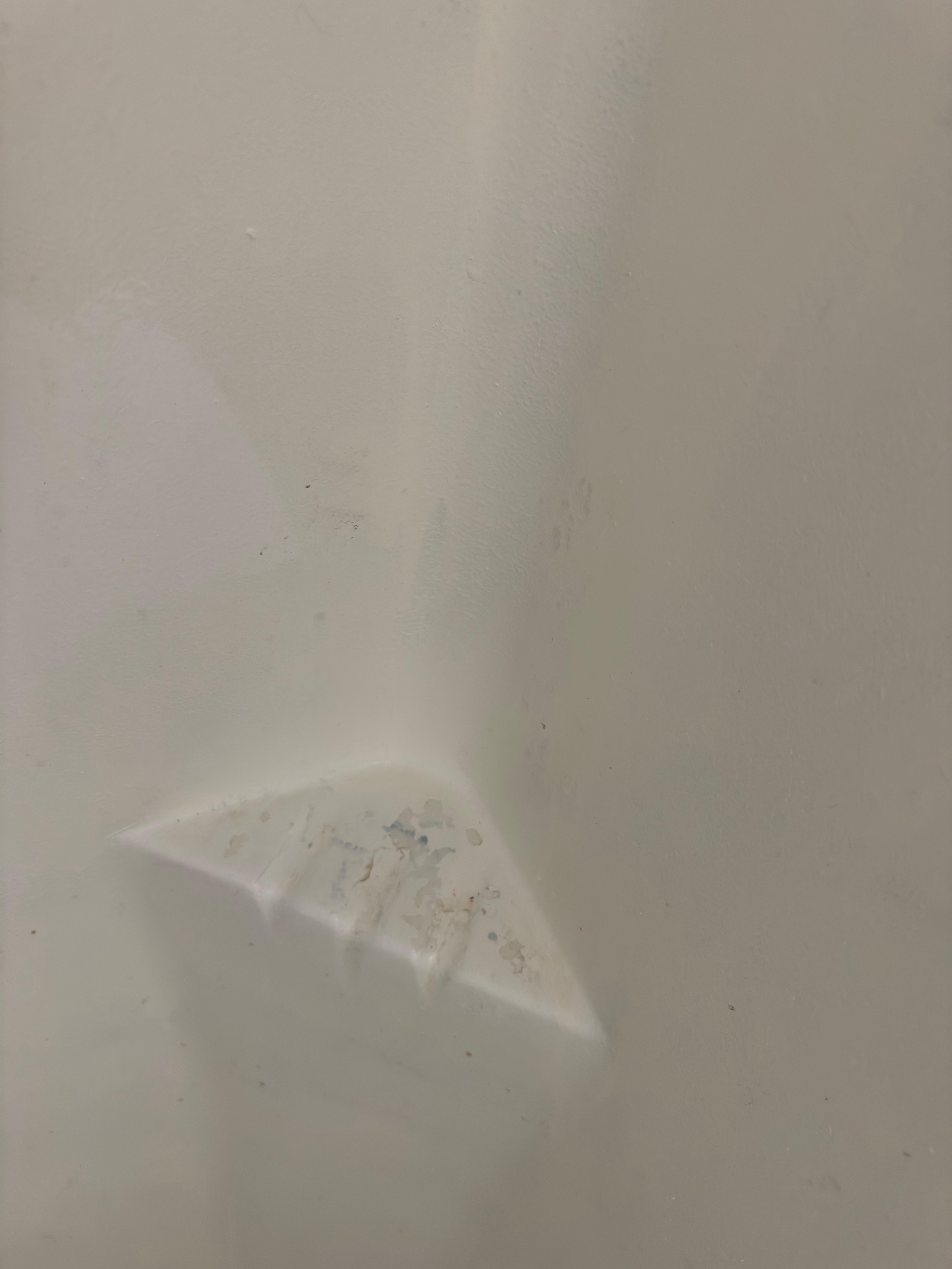 Shower shelf that’s never been clean 