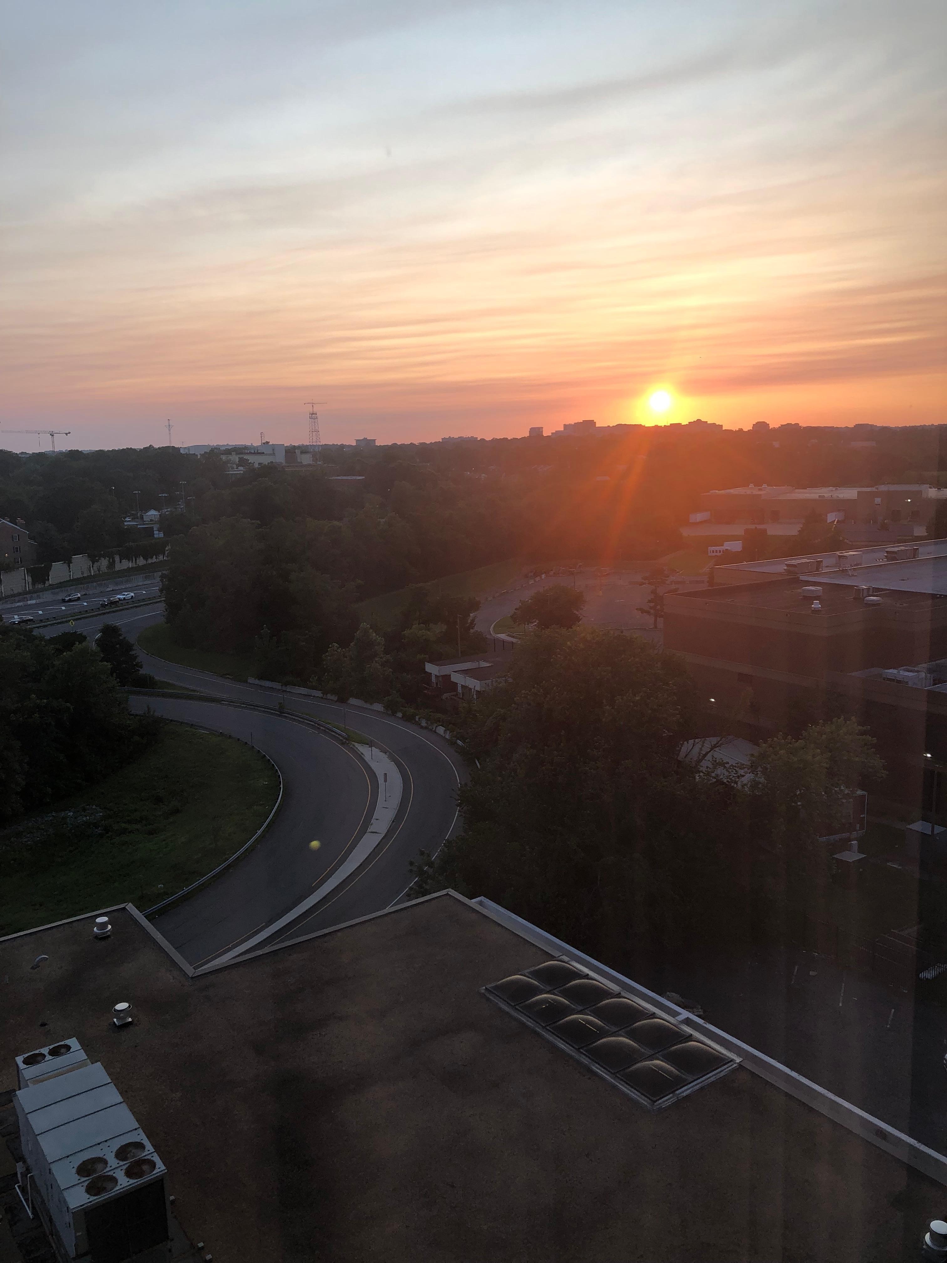 From my window this year