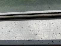 Bathroom window