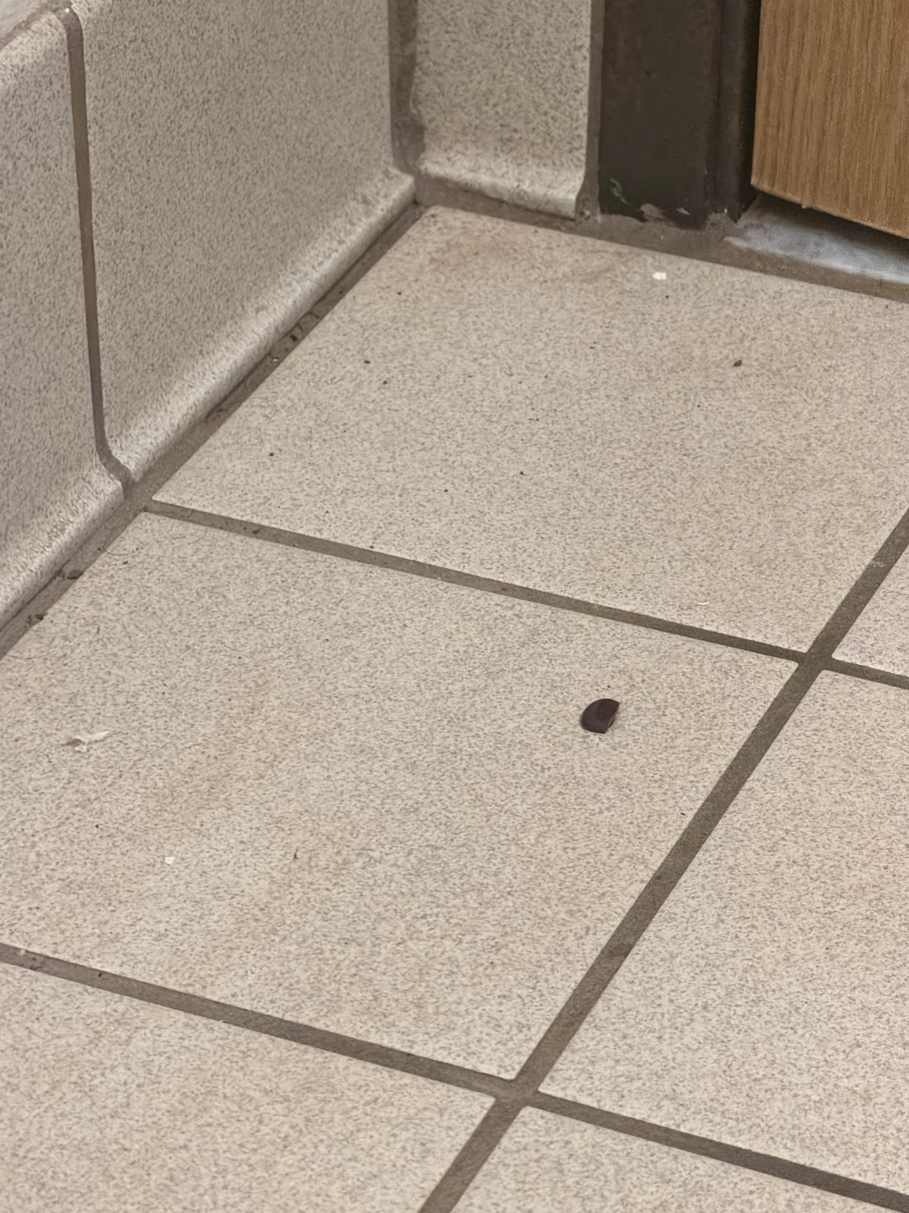 The bathroom floor was disgusting and uncleaned. 