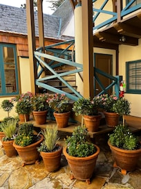 There were lovely plants everywhere! Such a cute place.