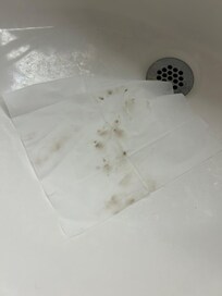 This was the wipe I used to clean the seat