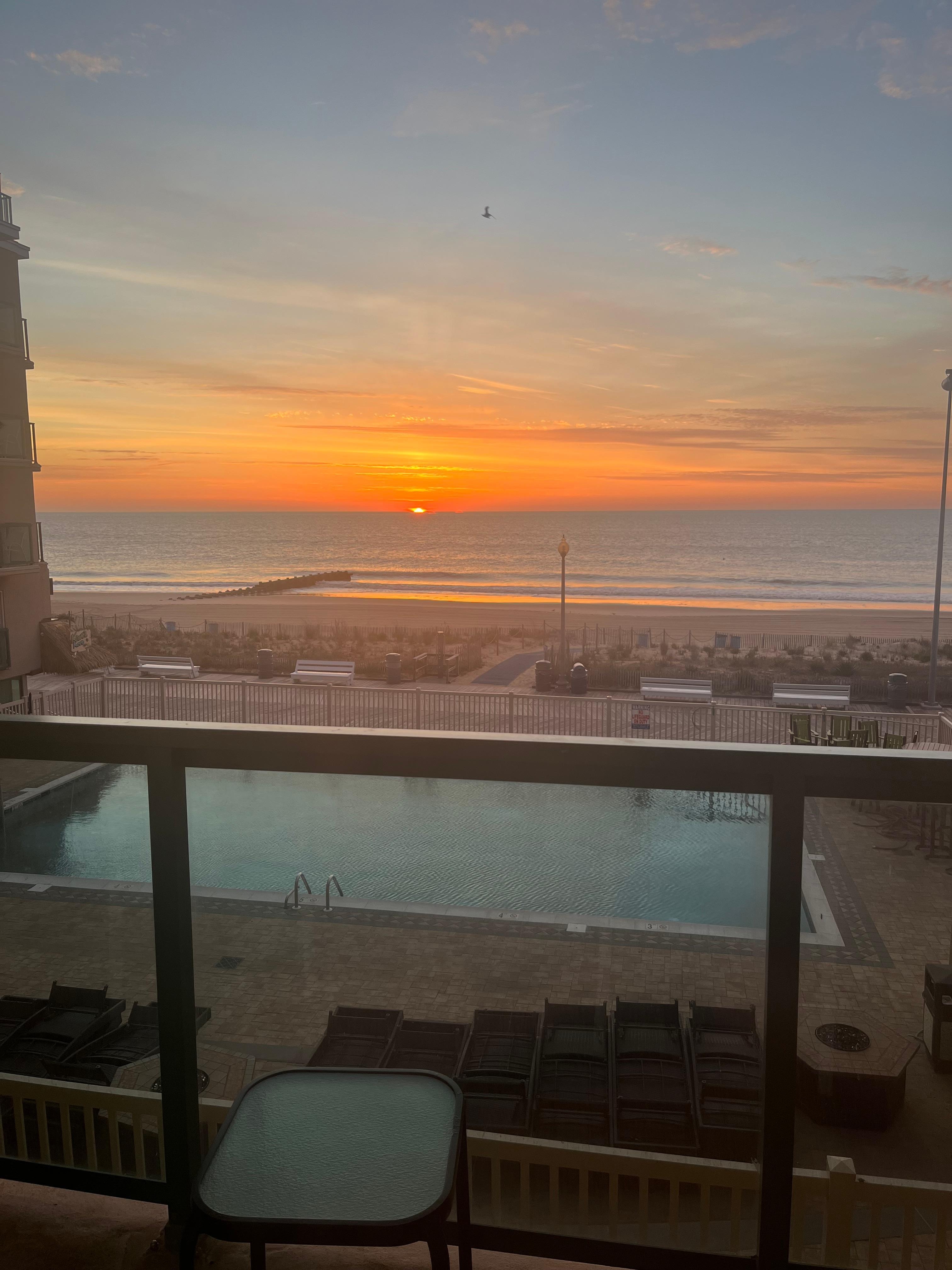 Temporary office view 🙂