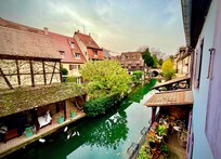 Day view out our bedroom window