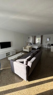 Living room with bed.