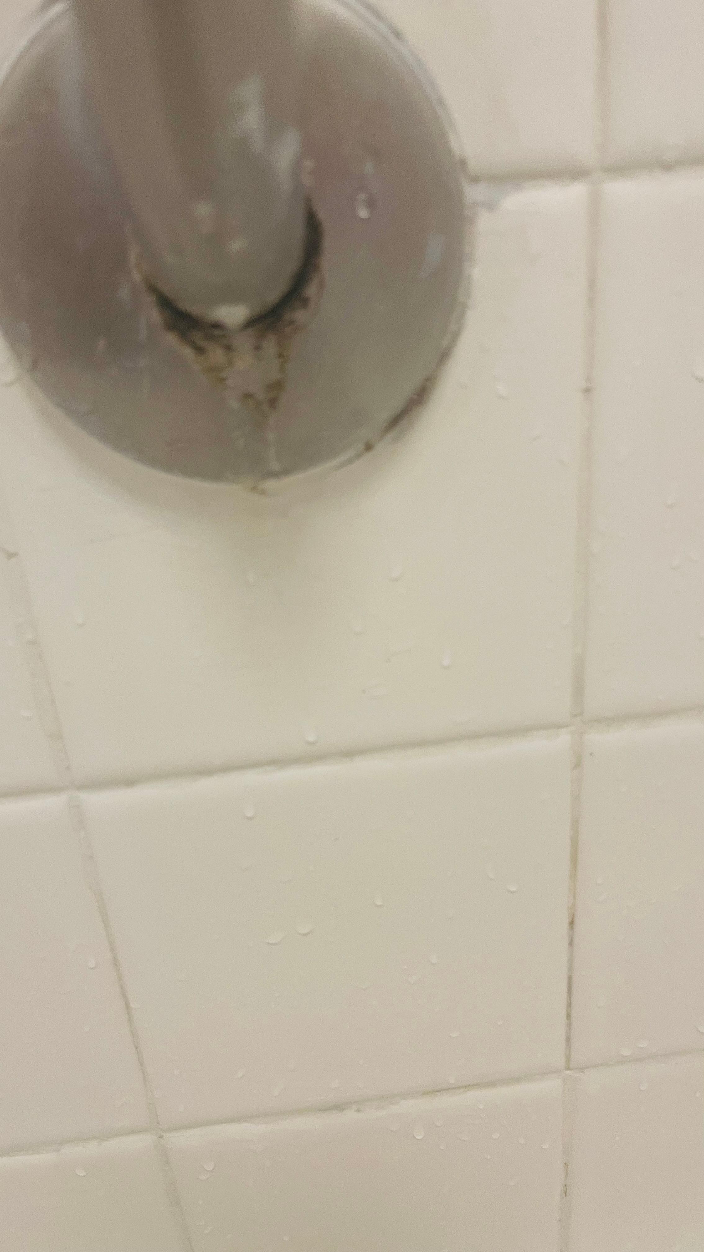 Bathroom mildew