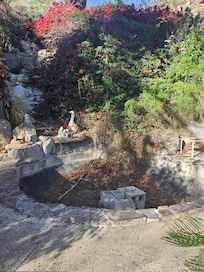 Pond with overgrown landscaping and not corded off as hazardous