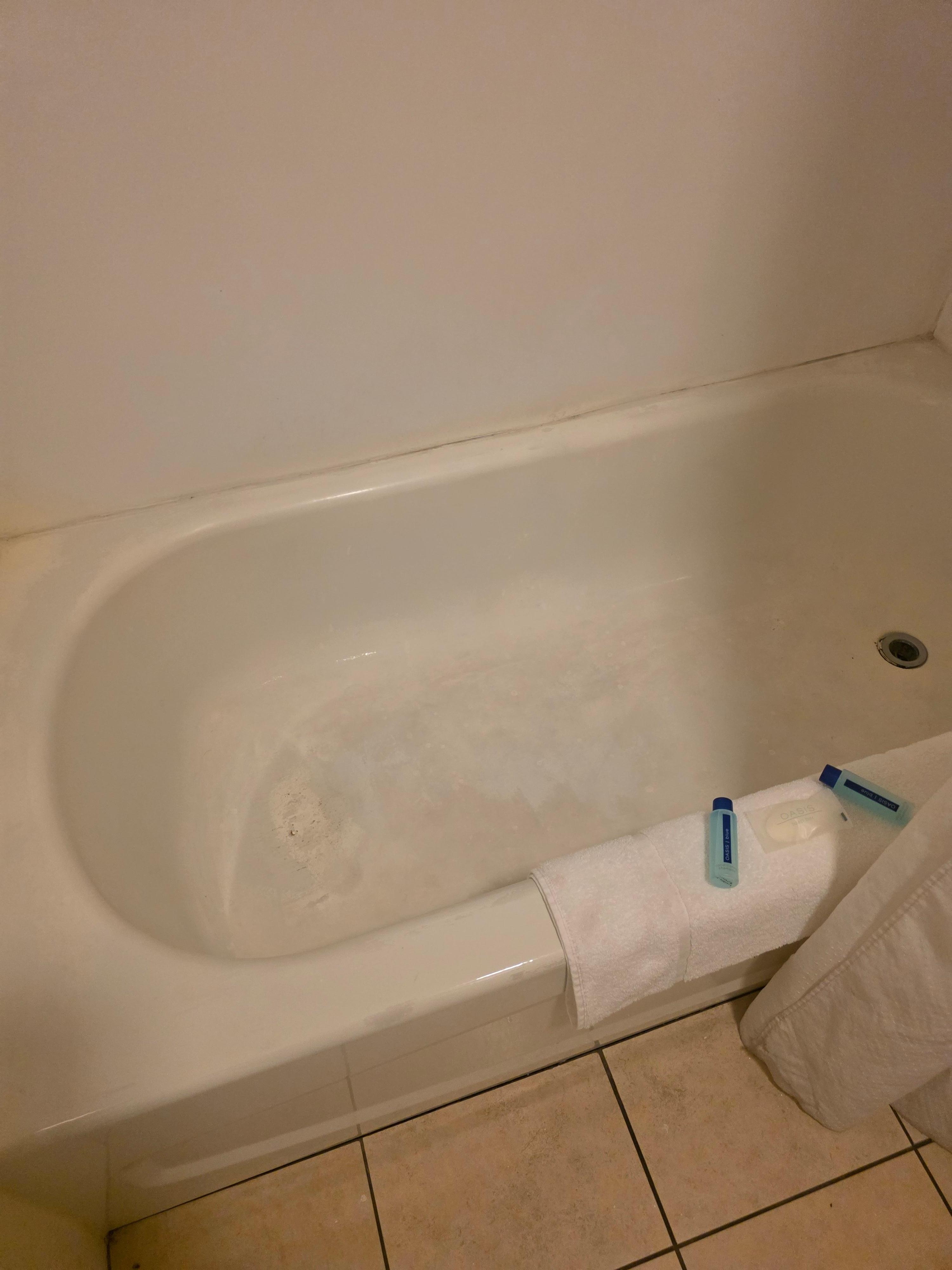 Disgusting bath tub, stains all over carpet and awful smell. 