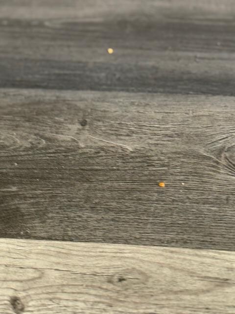 Floor chips crumbs