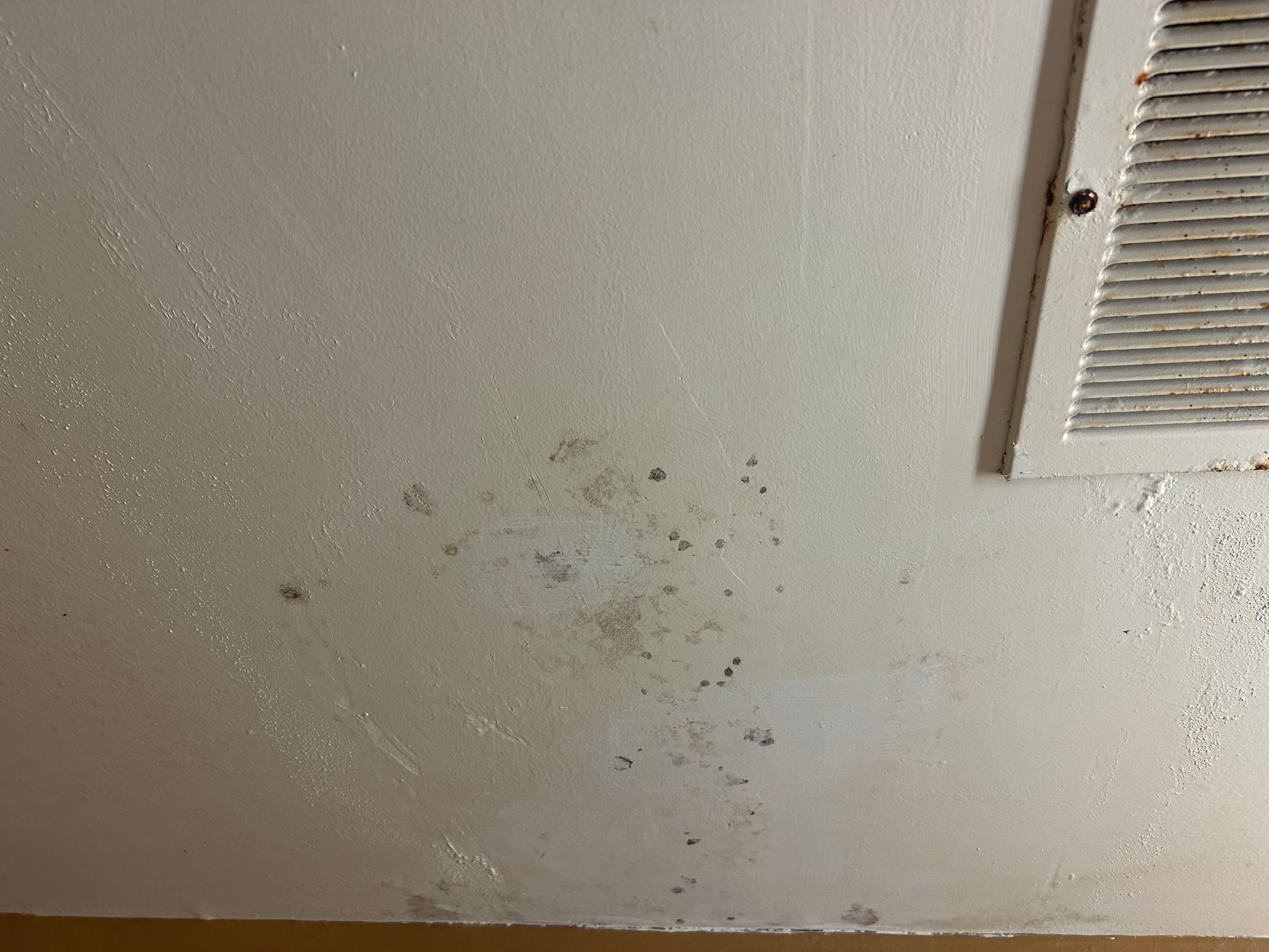 Mildew on bathroom ceiling 