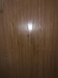 Hard to see, but someone backed up to the door pants off and let loose.