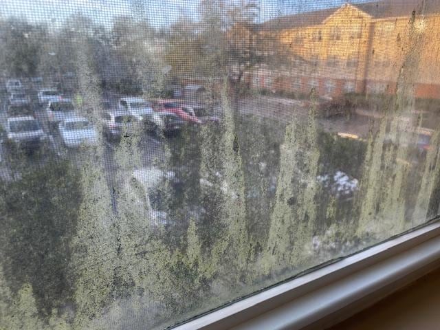 Mold and slime on window