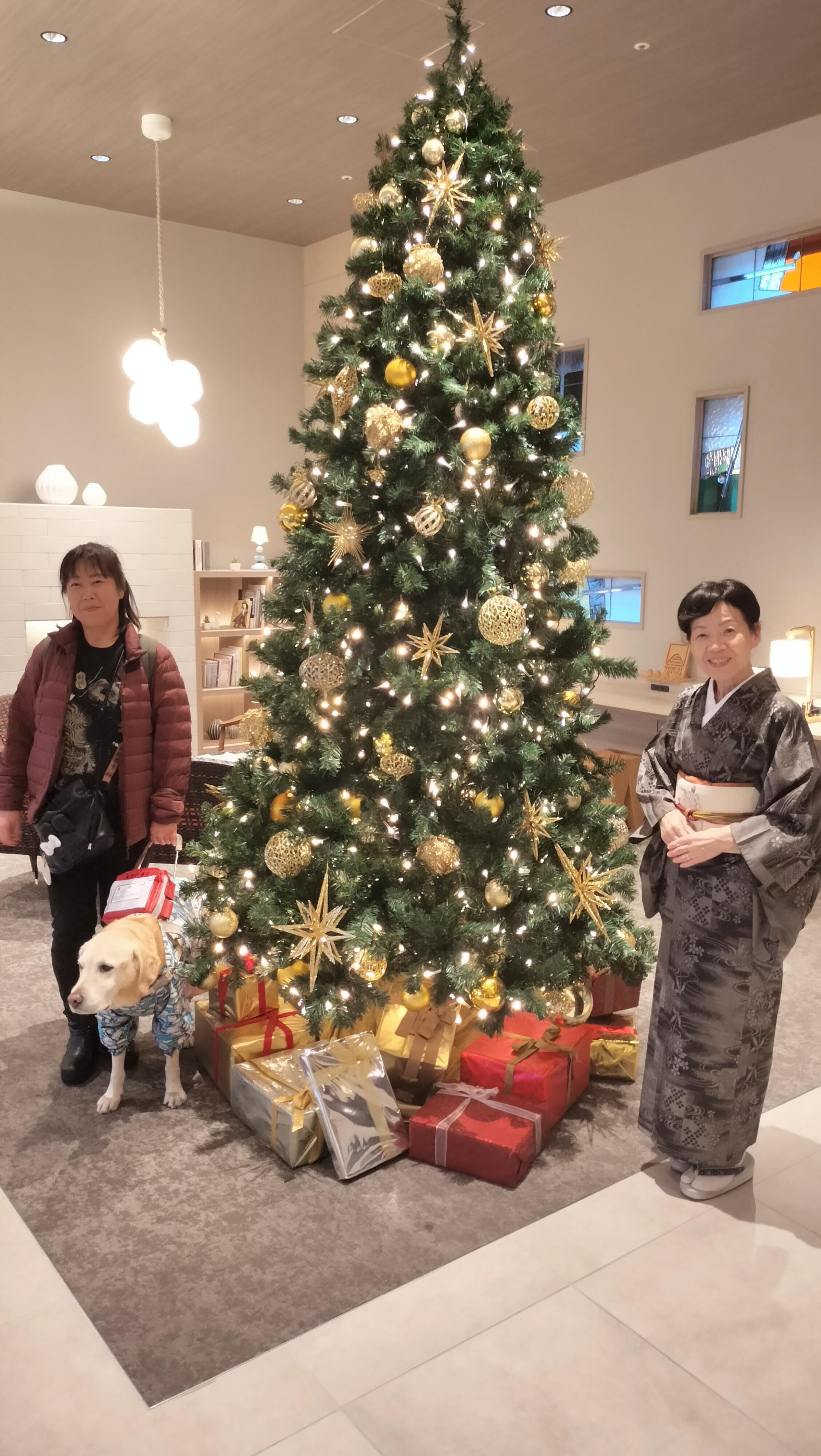 ツリーの前で
スタッフにとっていただきました