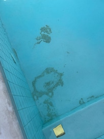 Piscina da suíte sobre as águas com piscina