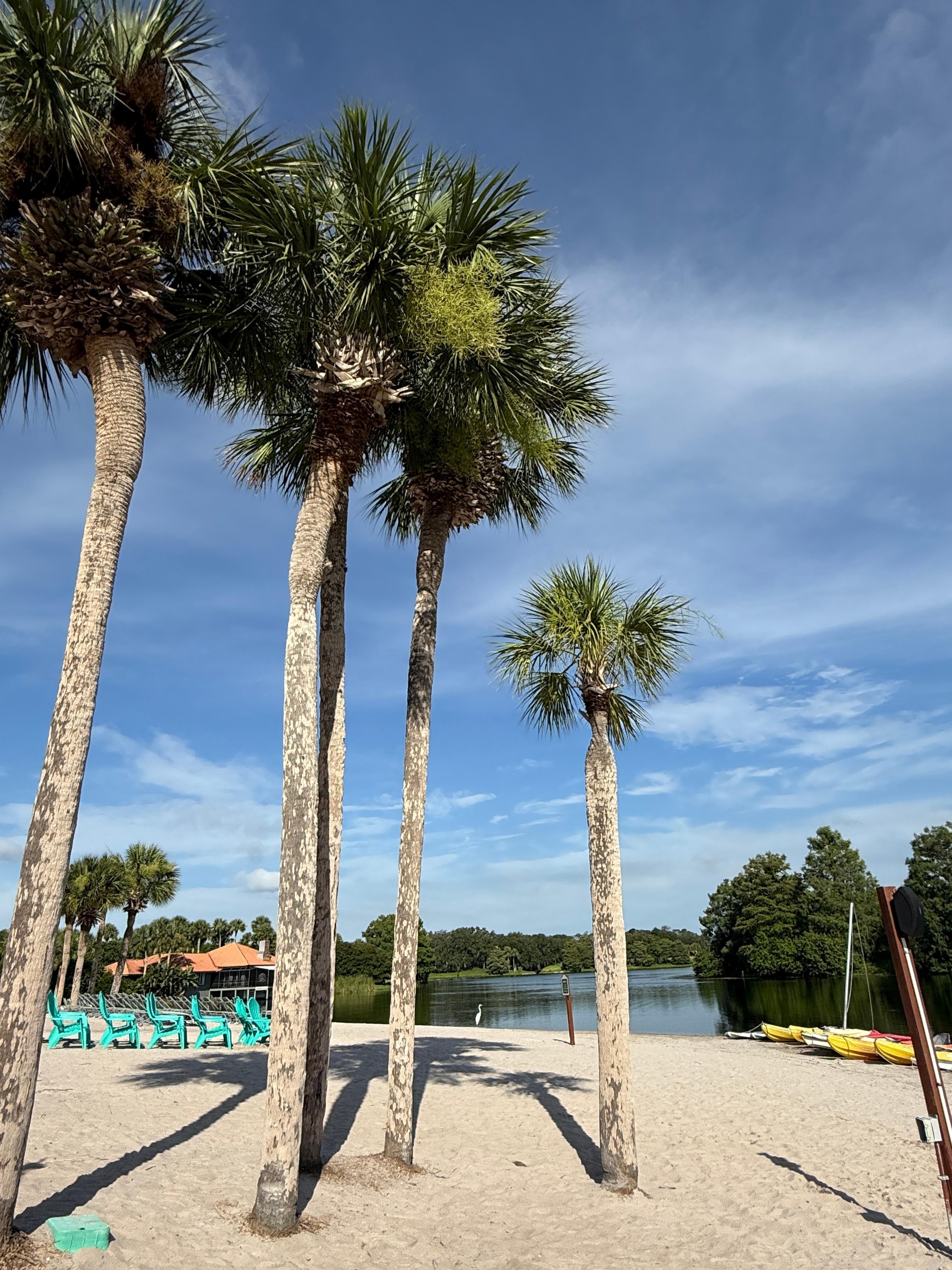 “Beach” area 