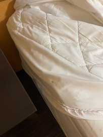 The sheets has spots all over them