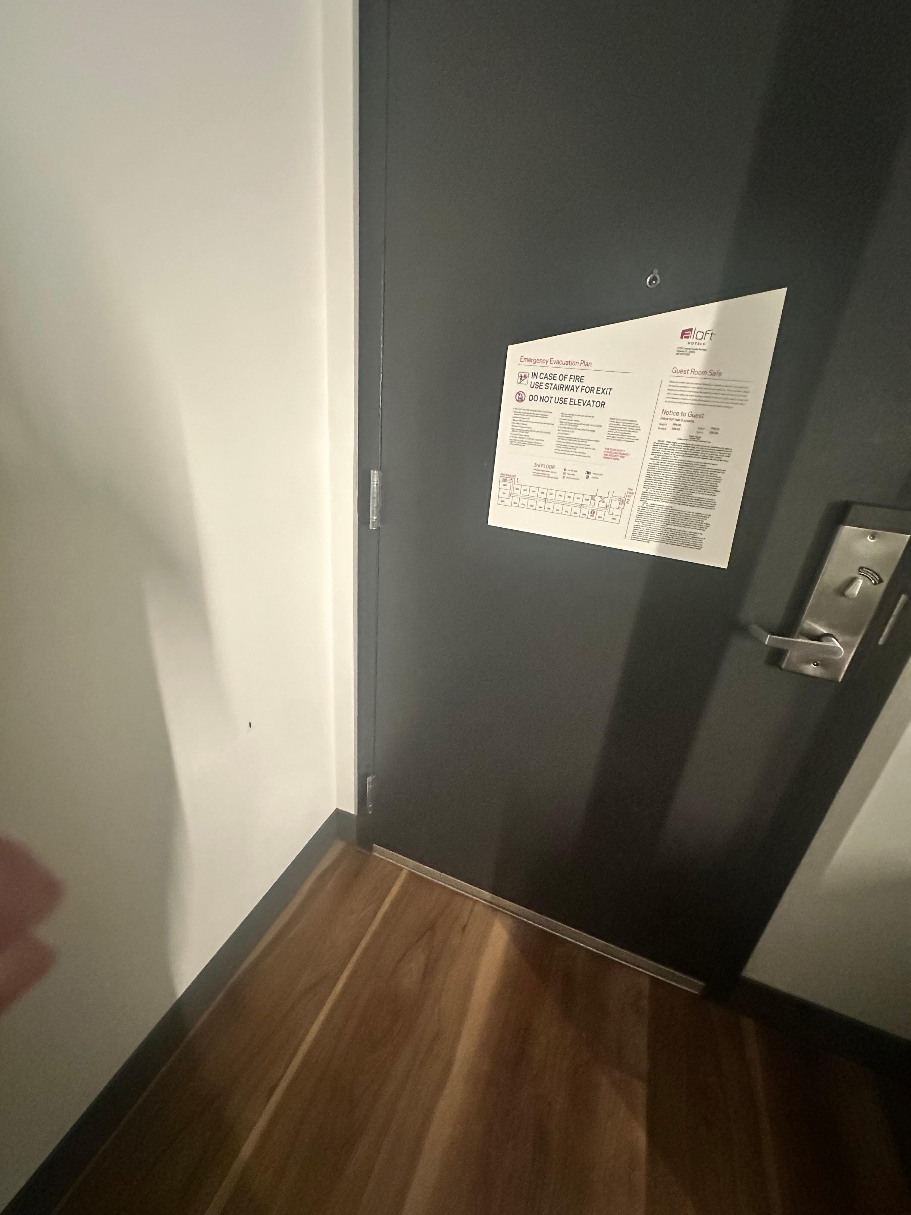 Roach on wall