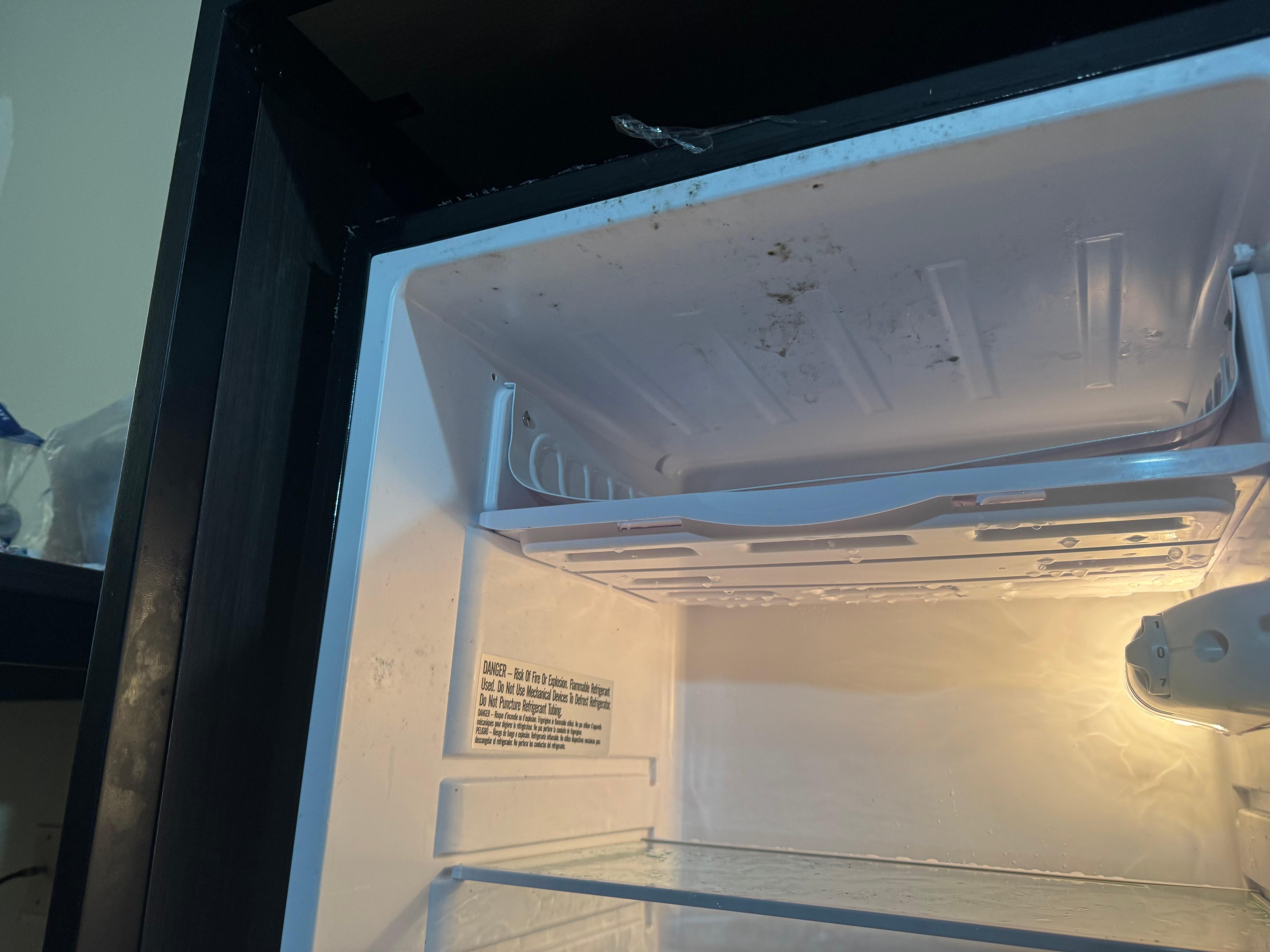 Mold in refrigerator 