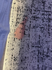 Few of these stains on carpet