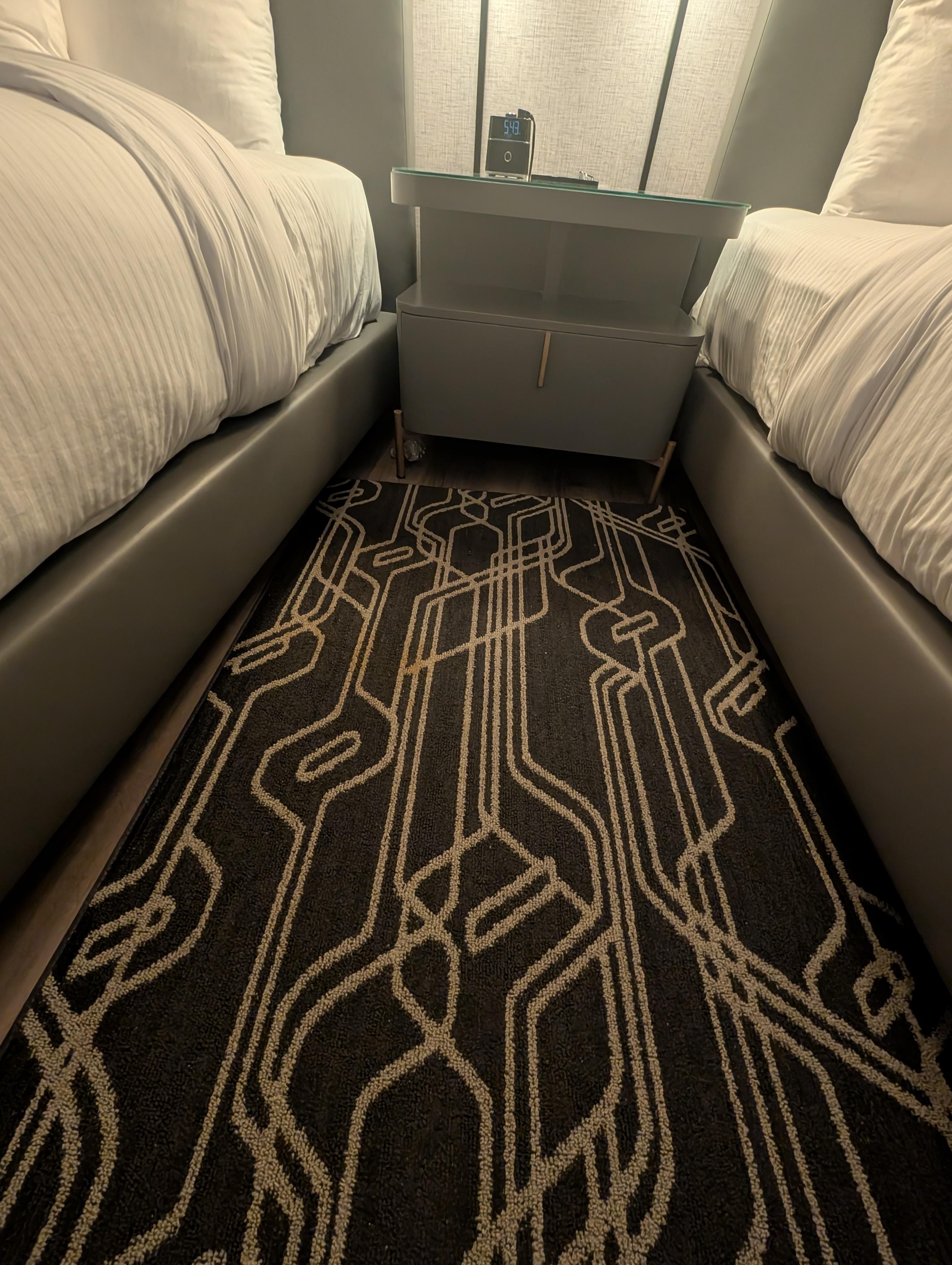 Carpet not vacuumed. 