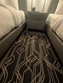 Carpet not vacuumed.