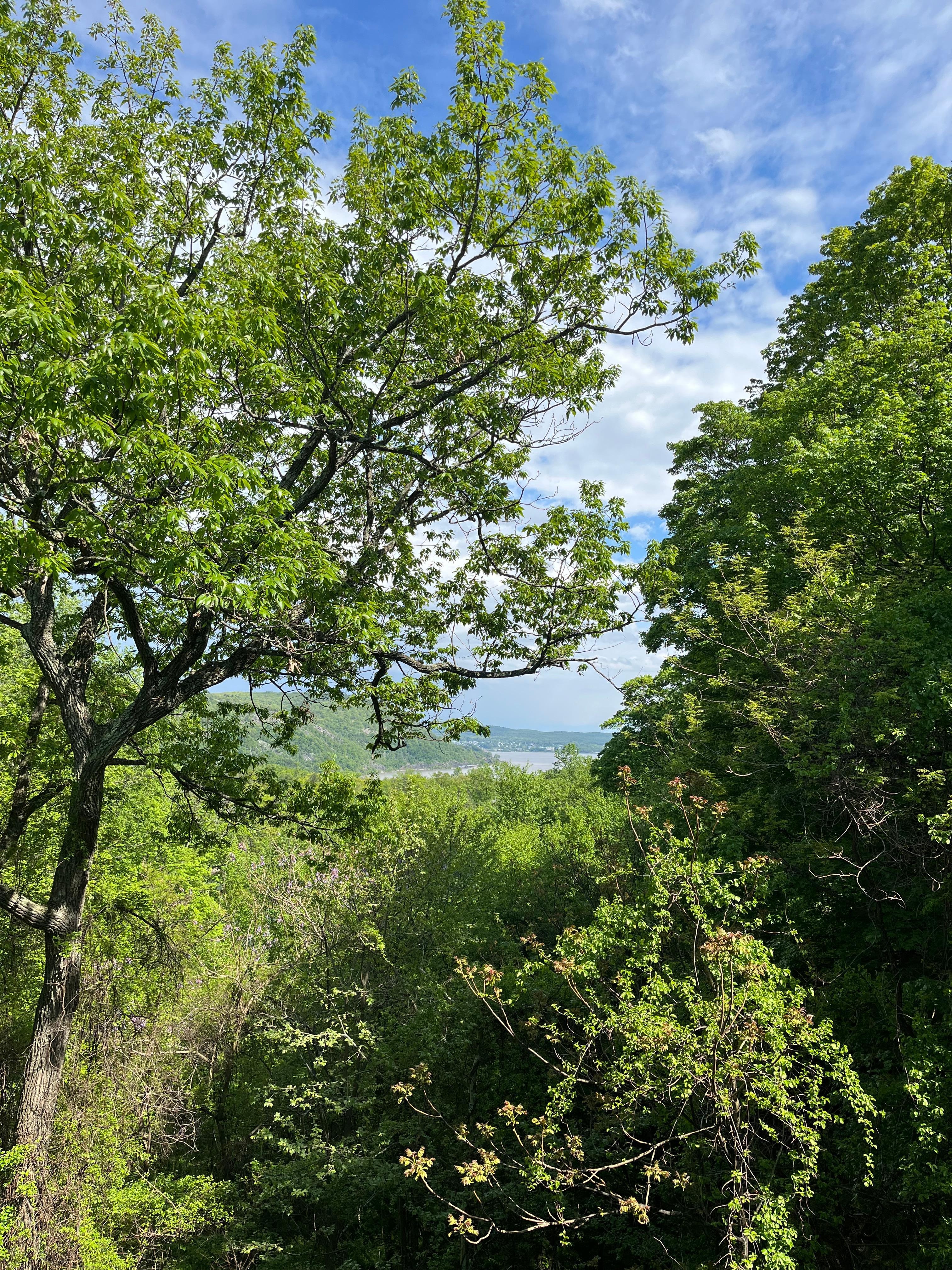 View from porch at the overlook lodge.