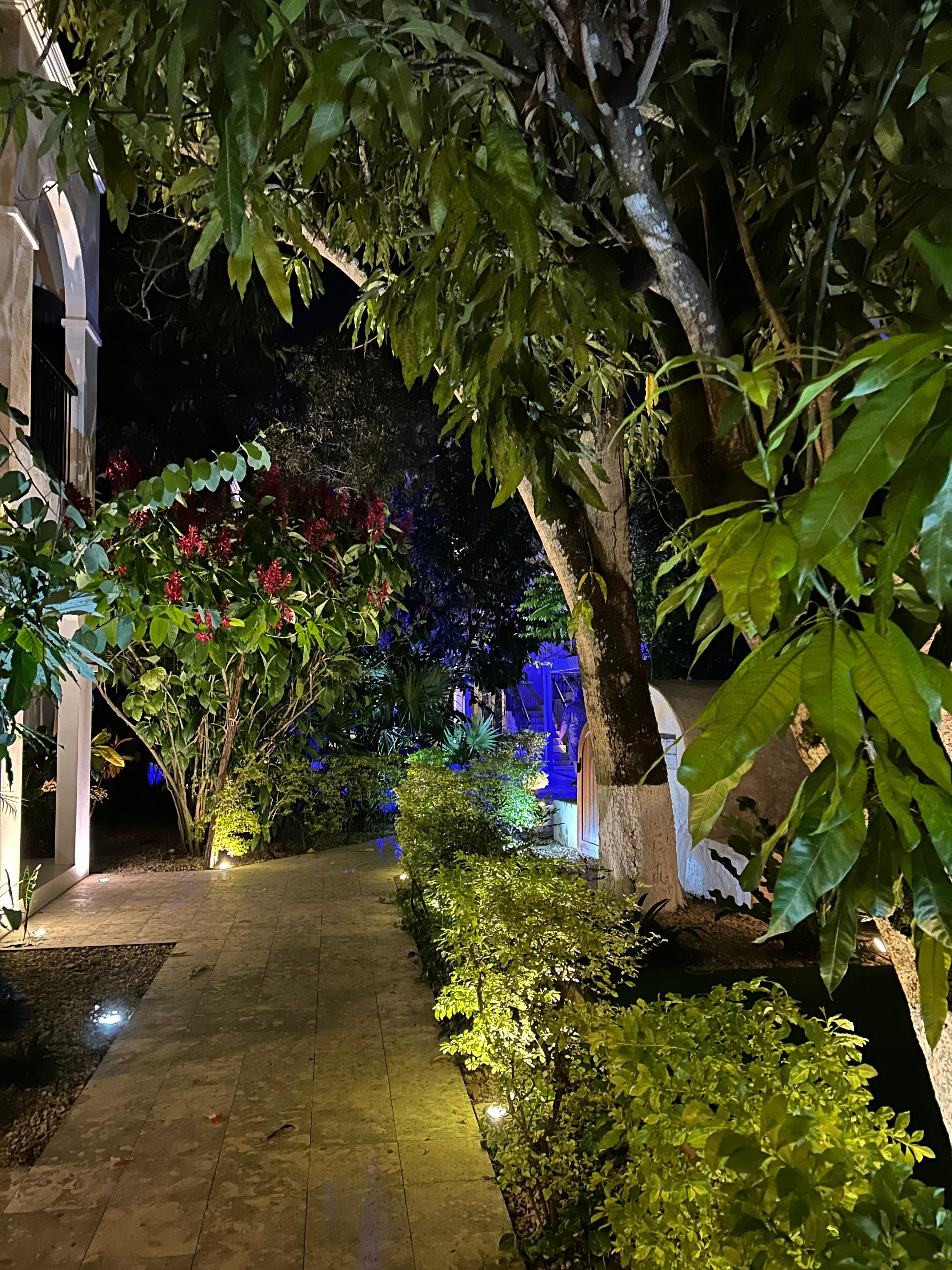 Trädgården på kvällen - så mysig