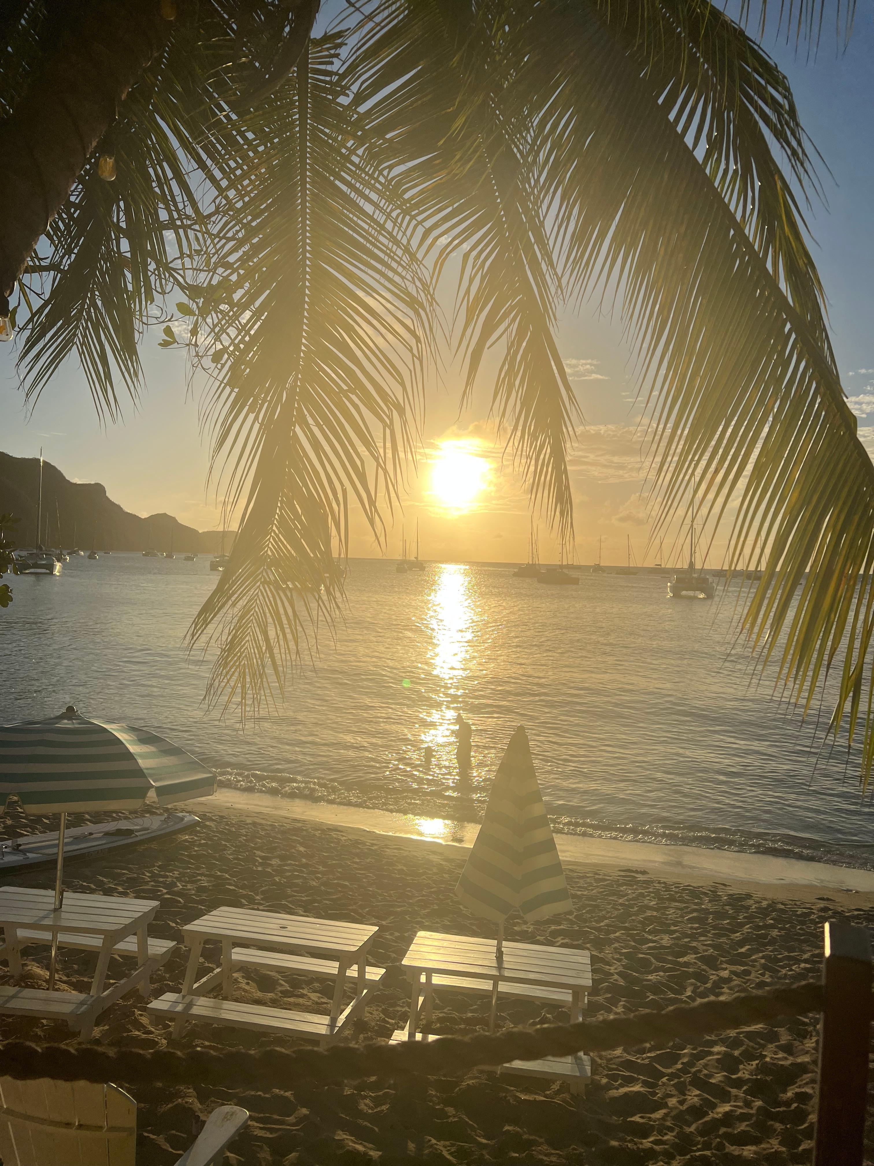 Princess Margarette beach had beautiful snorkelling star fish and tropical fish 🐠 