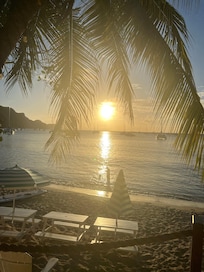 Princess Margarette beach had beautiful snorkelling star fish and tropical fish 🐠