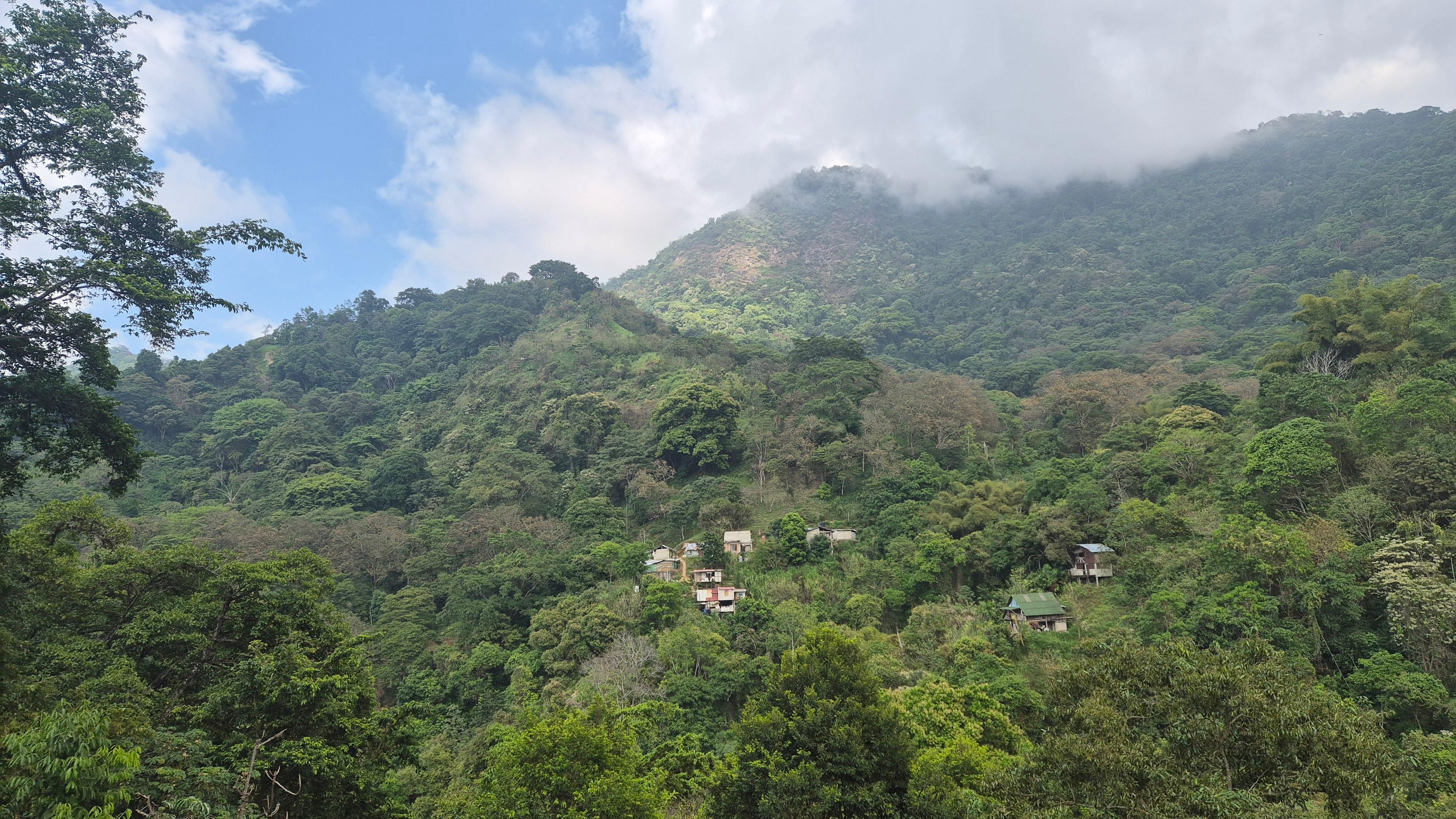 view from the balcony