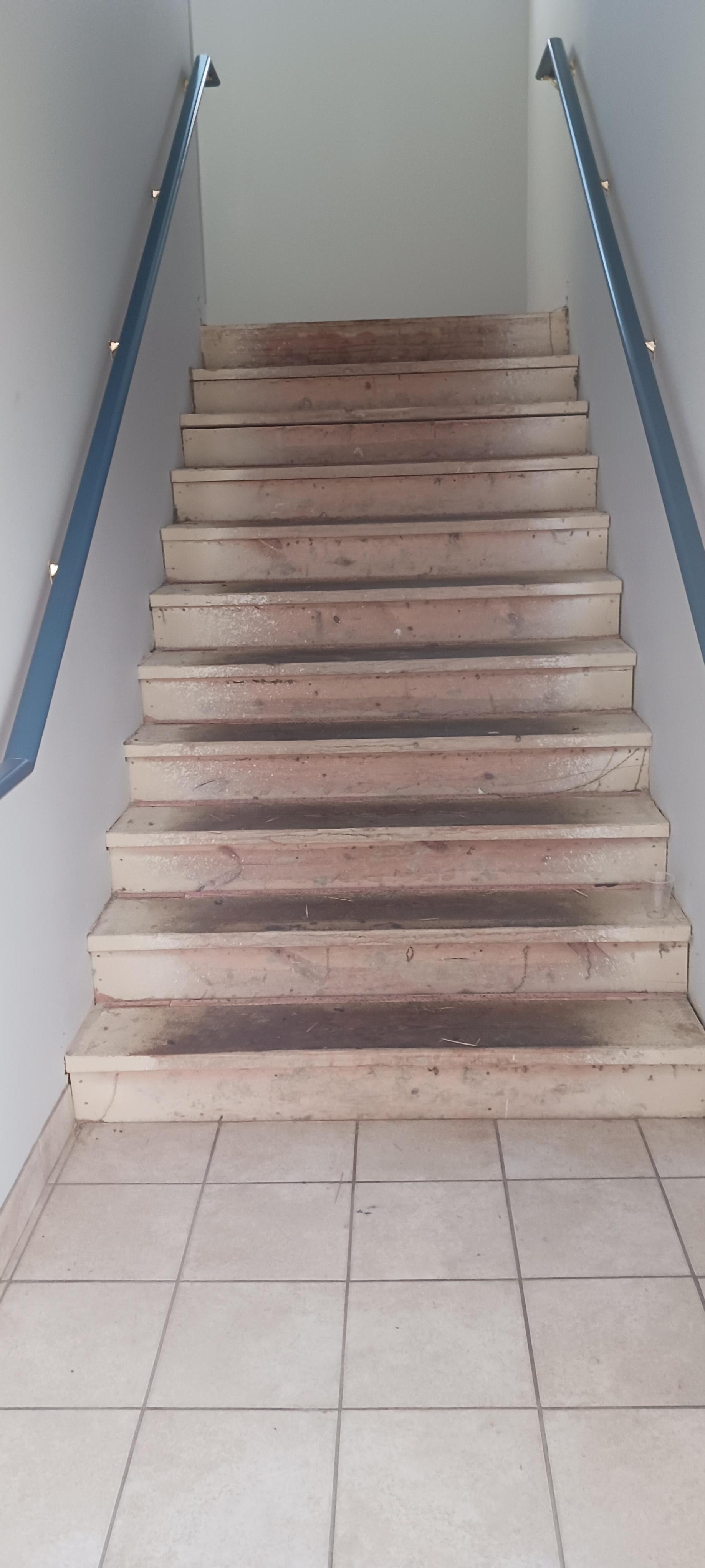 No carpet on stairs 