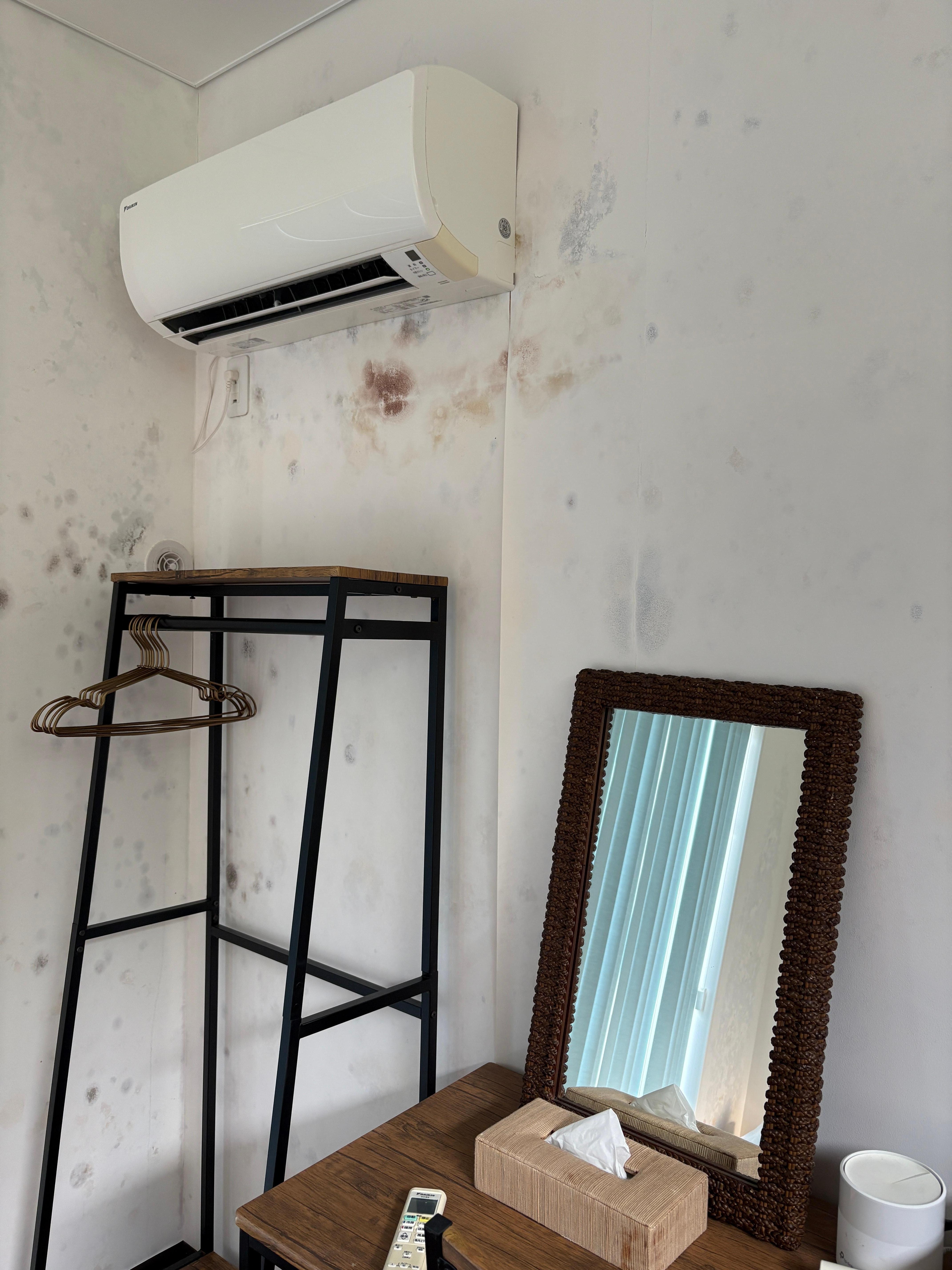 So much mould in both bedrooms