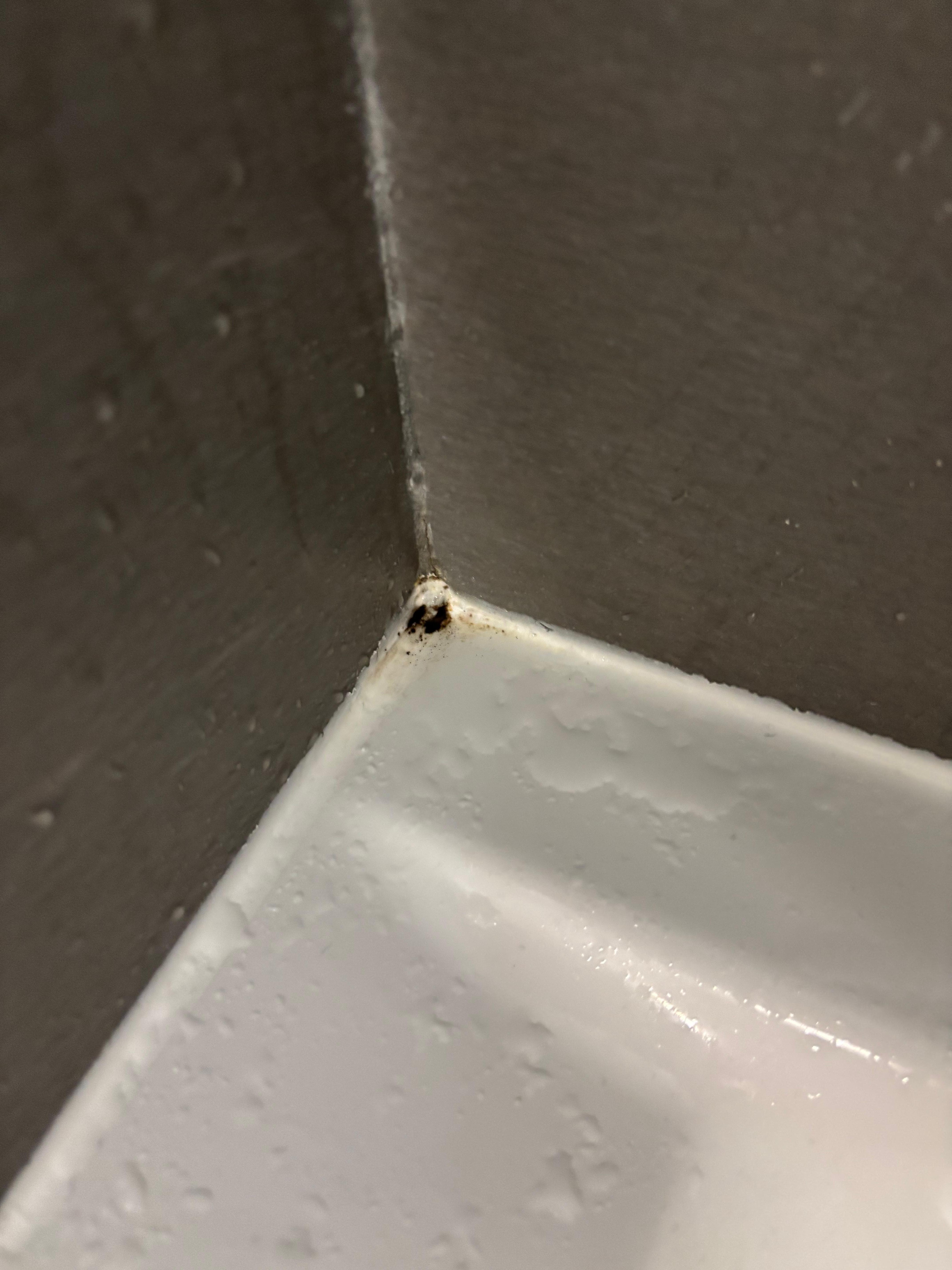 Moisissure dans la douche