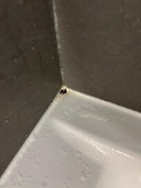 Moisissure dans la douche