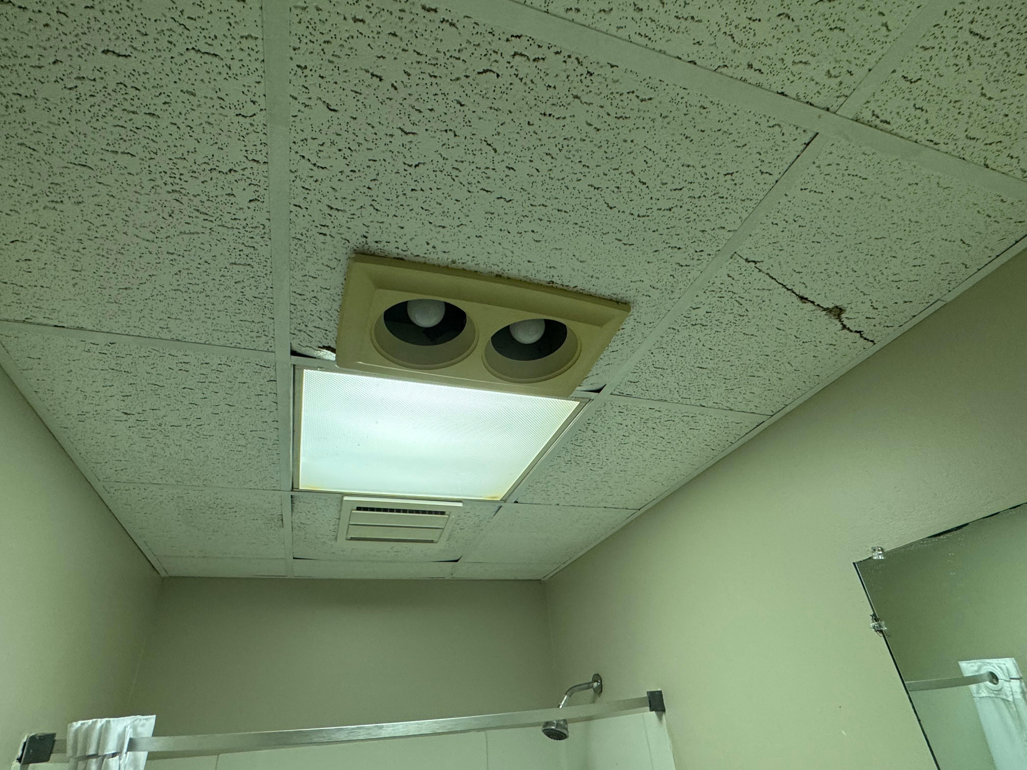 Ceiling Falling Down and Cracked