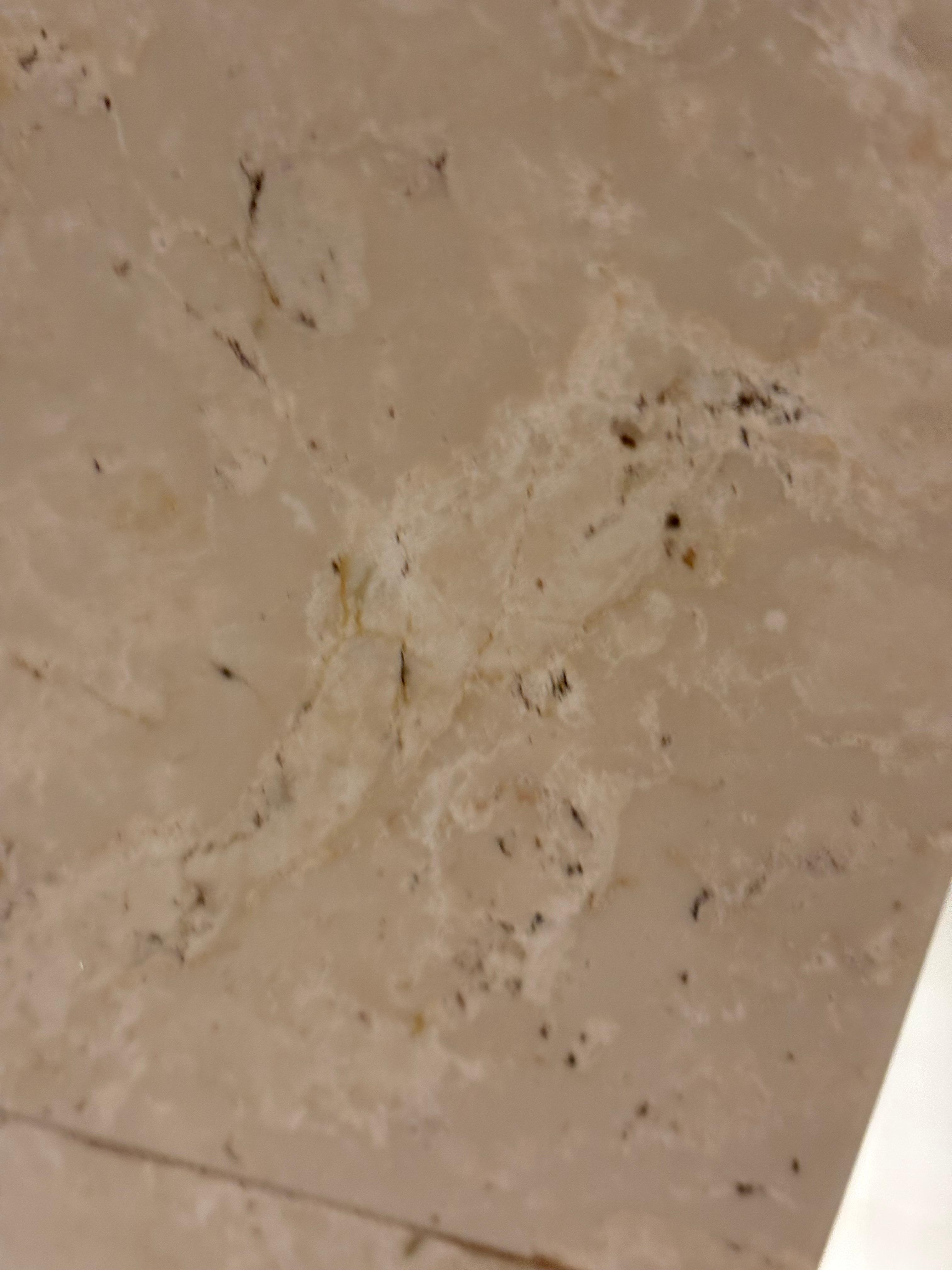 Black mold in shower