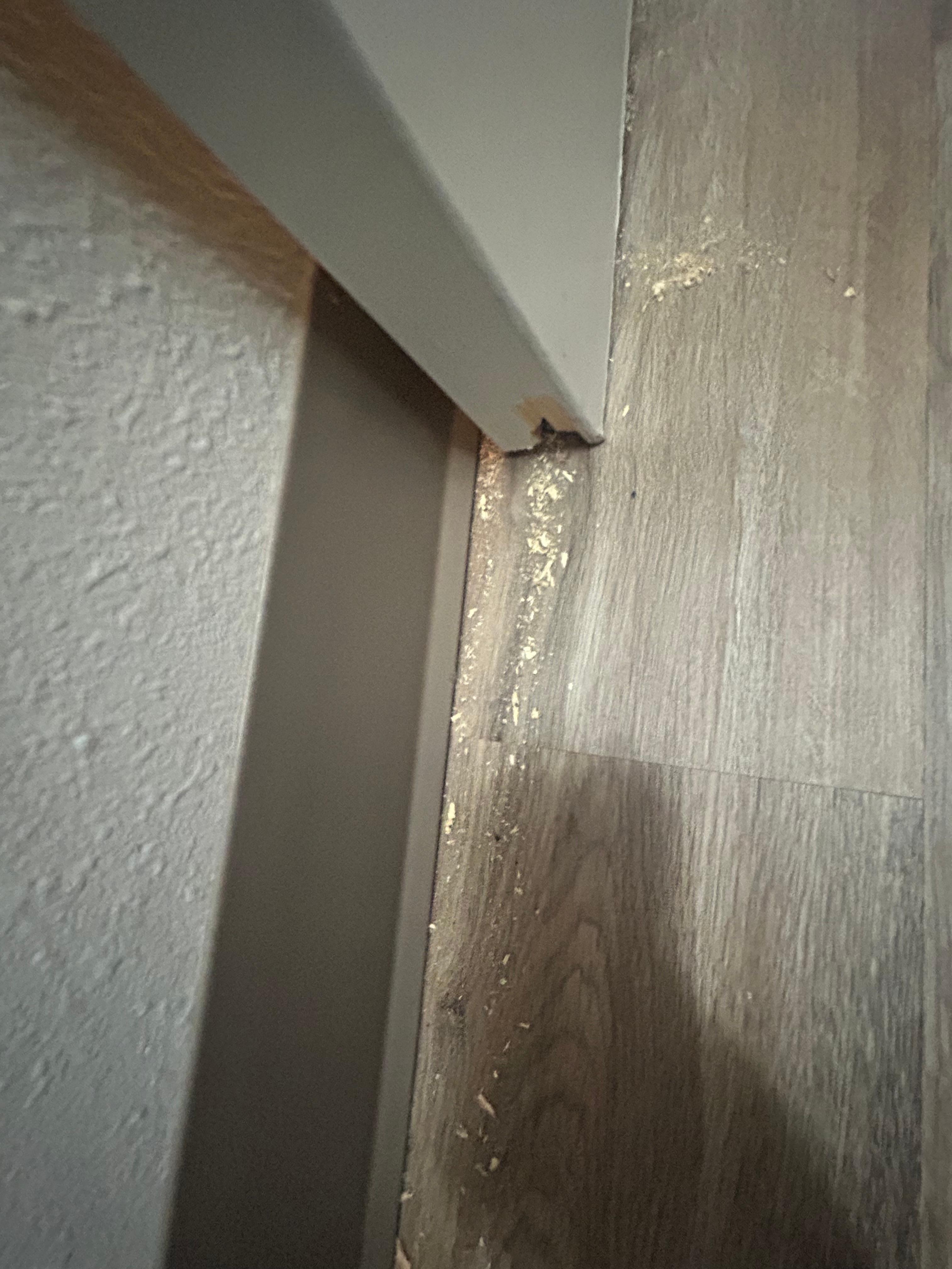 
Dust on the floor from the barn door closing, and tearing up their floor