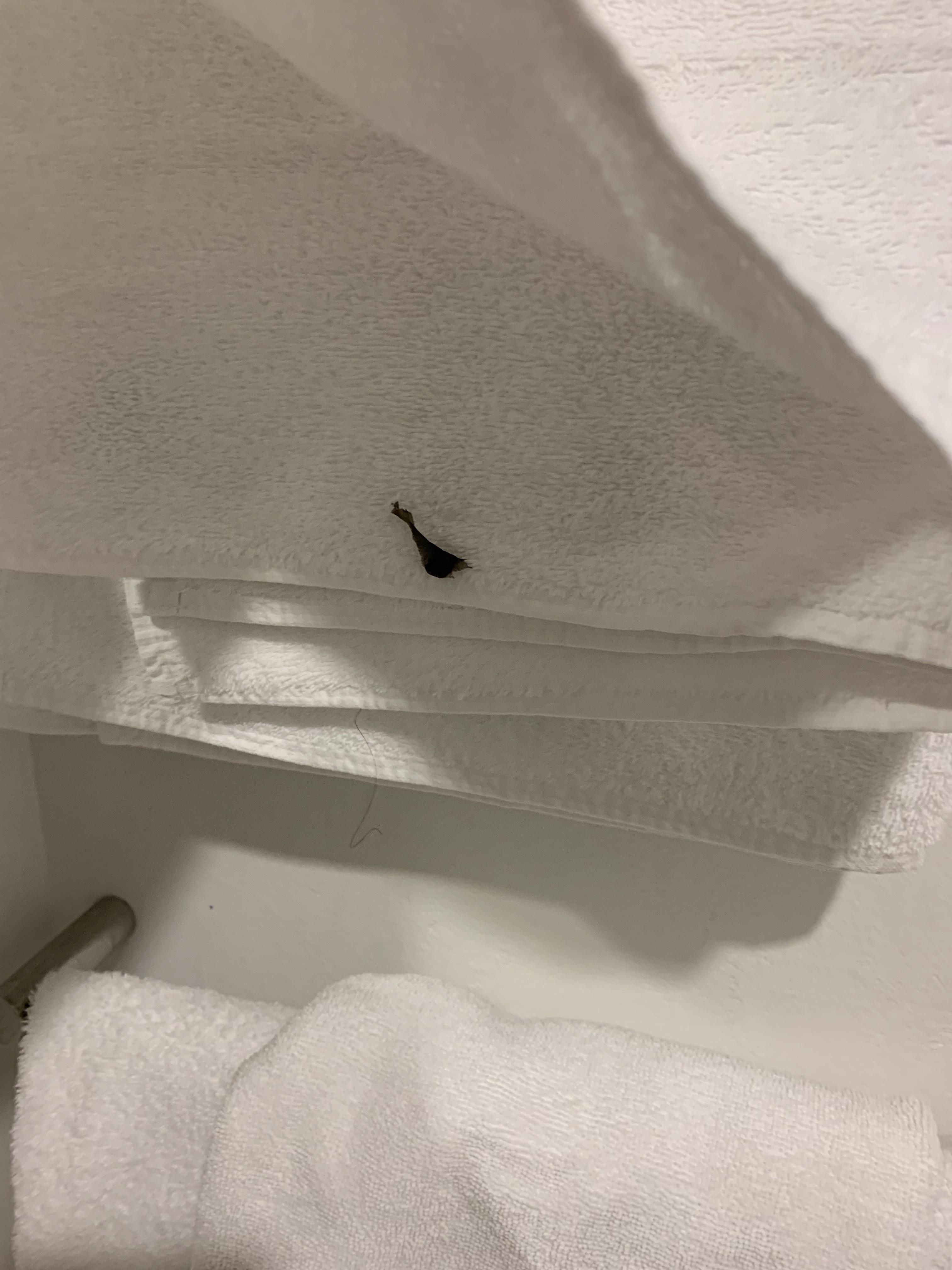 Dirty inside the towel, I showed  to the manager 