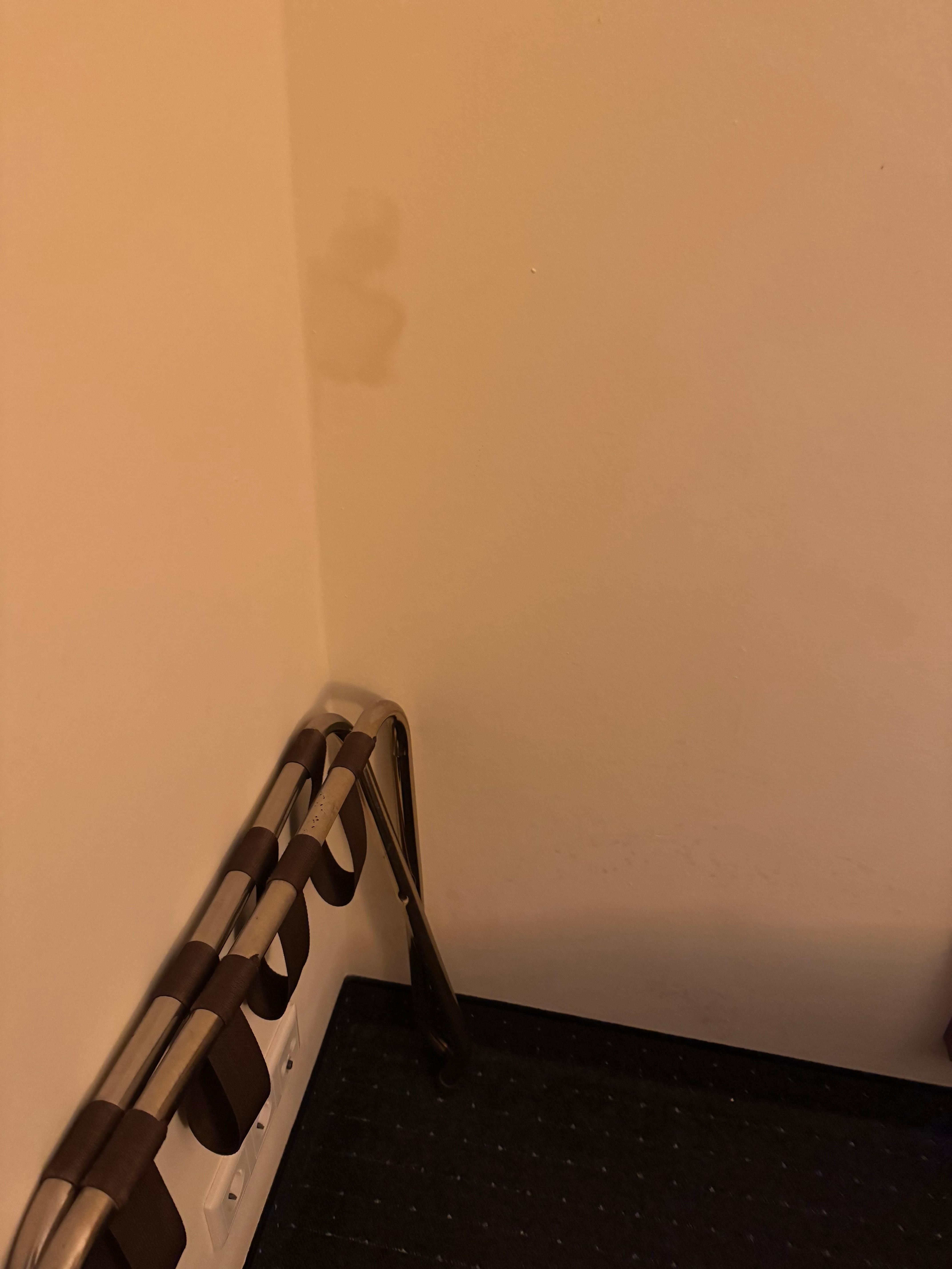 Riesiger, undefinierbarer Fleck auf der Tapete im Zimmer