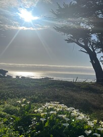 View from walking path