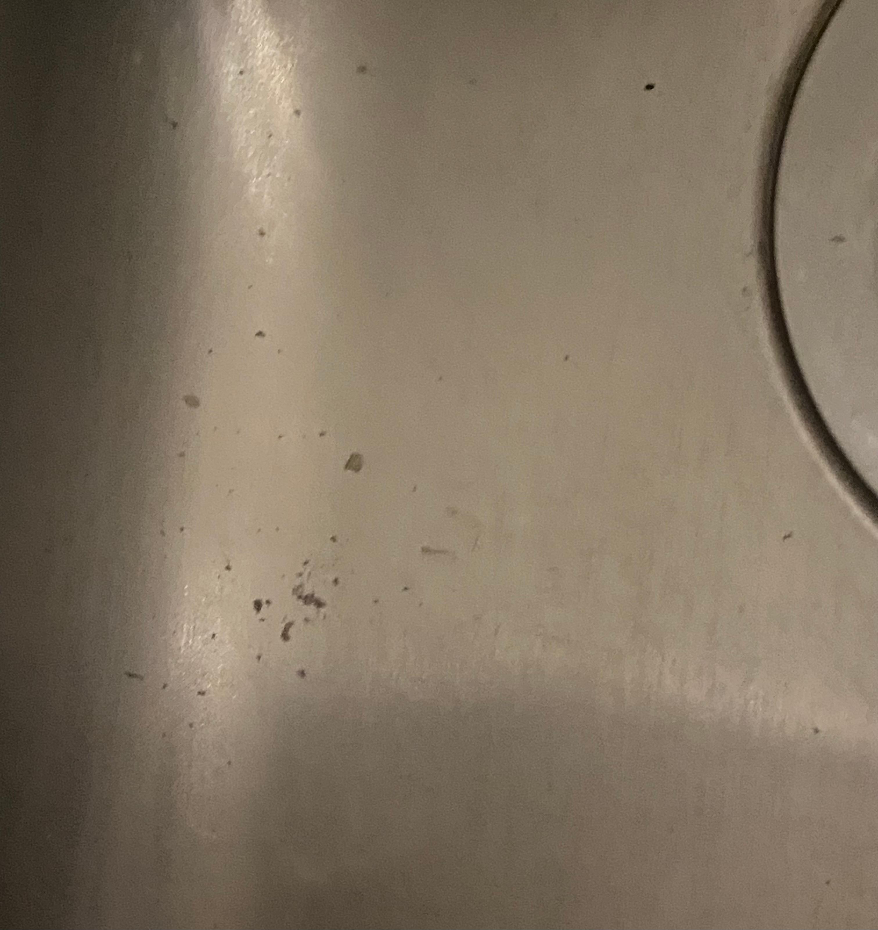 Ice and food particles still in the sink