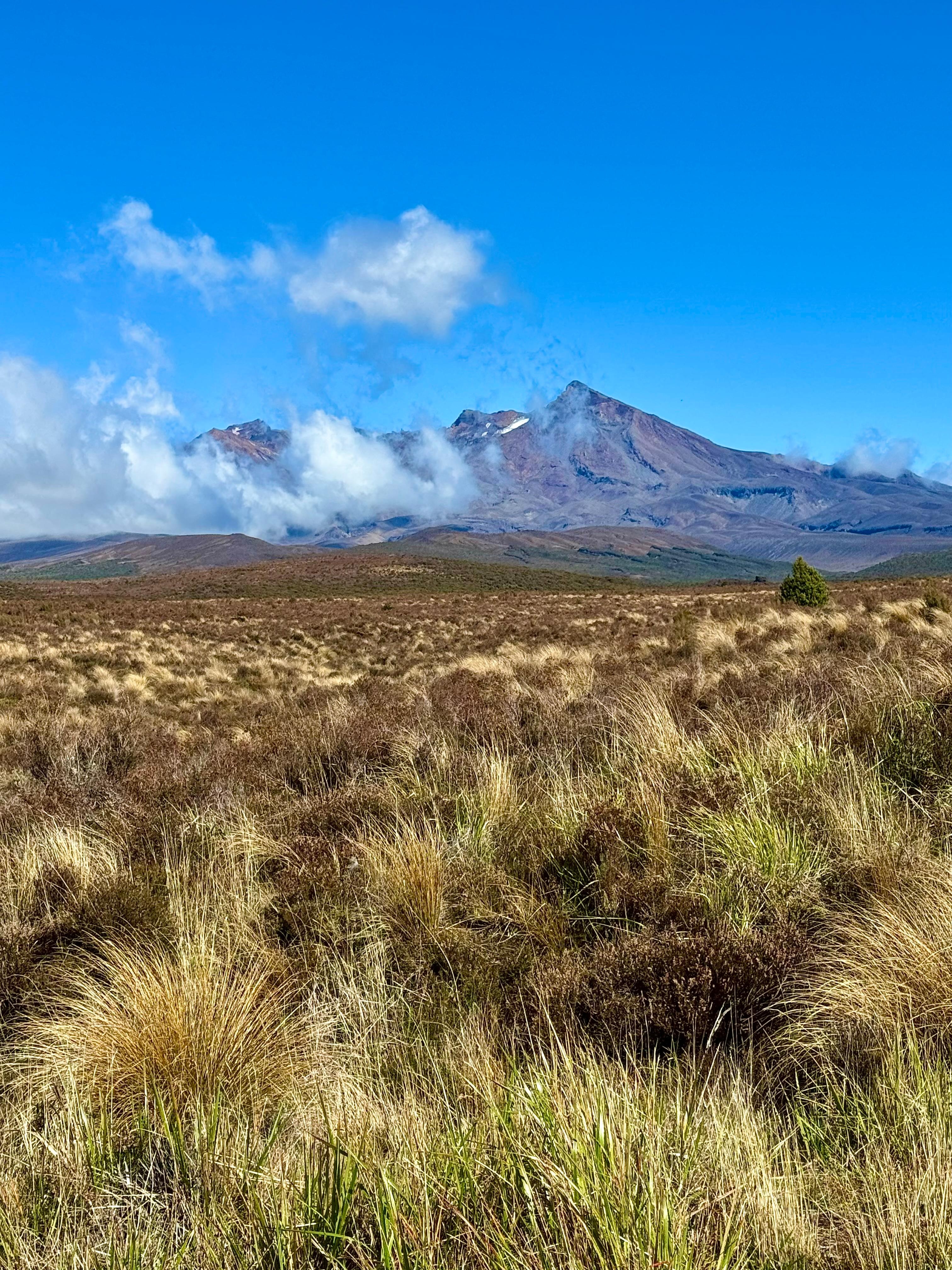 Tongariro National Park
